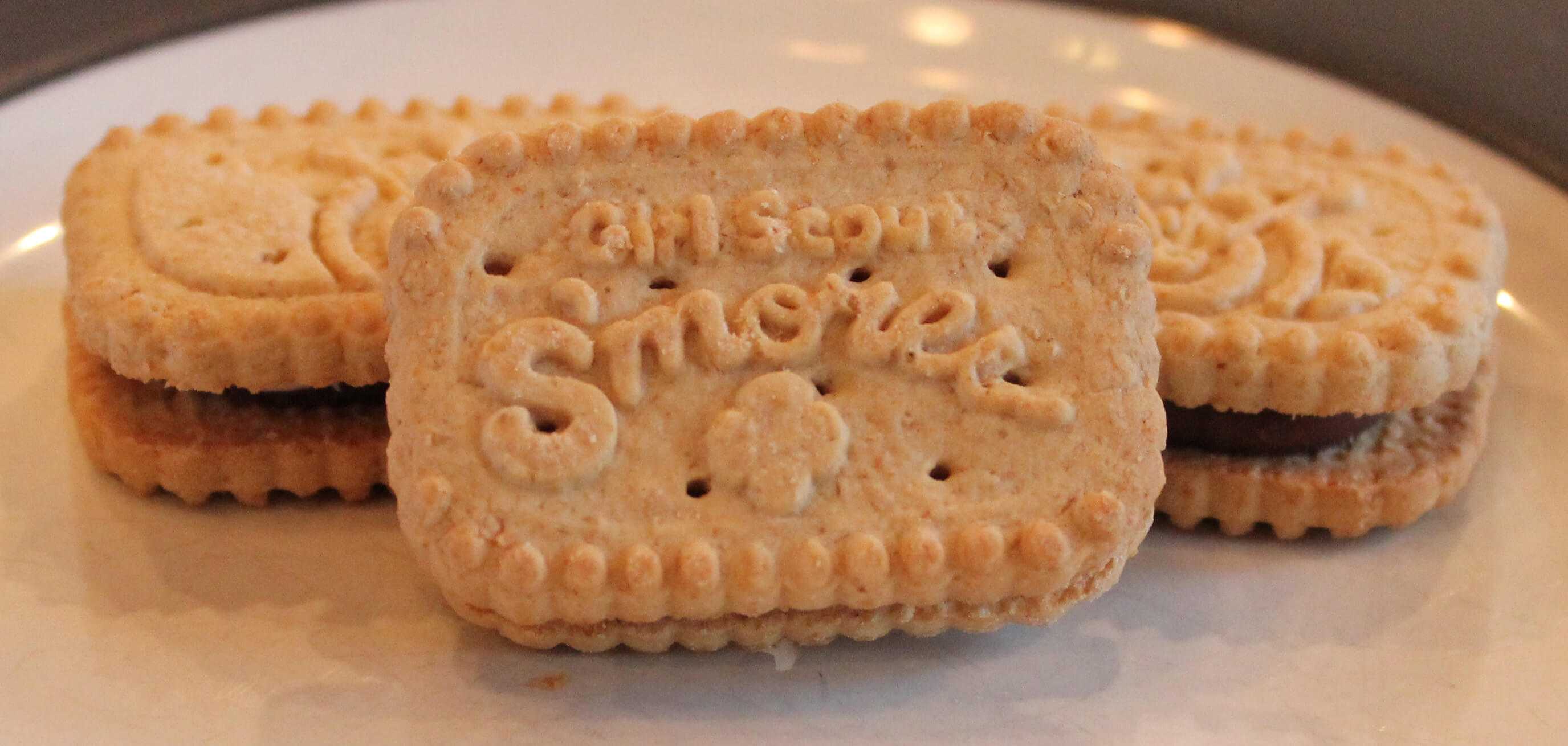 Girl Scout S’mores Cookies—Little Brownie Bakers Edition [Review] | S’more Scout