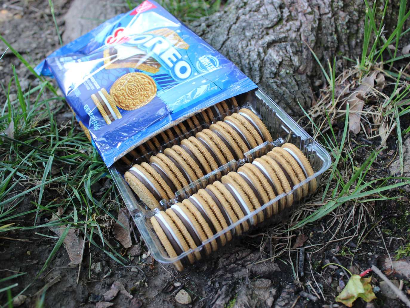 OREO S’mOREO, Limited Edition [Review] | S’more Scout