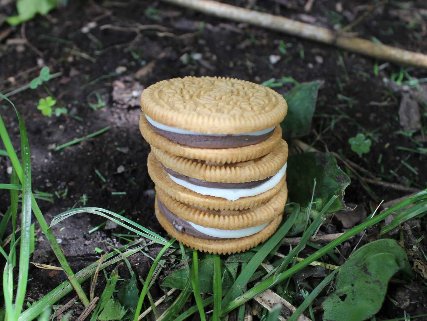 OREO S’mOREO, Limited Edition [Review] | S’more Scout