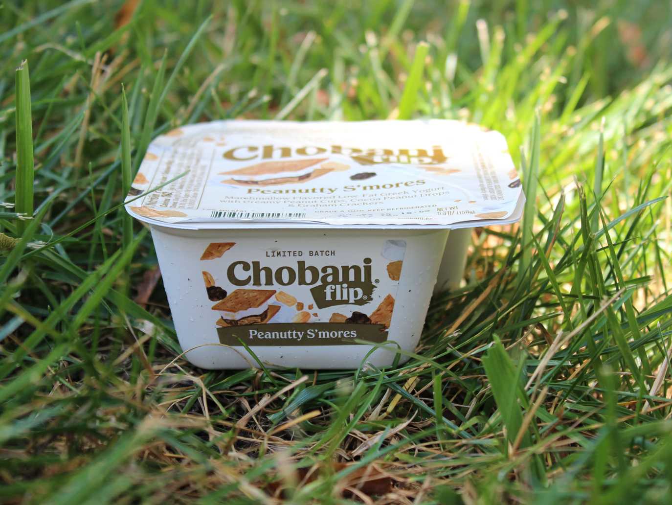 Chobani Flip Peanutty Smores Yogurt Discontinued Smore Scout