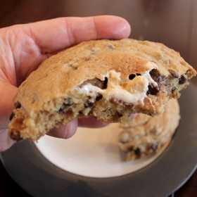 Girl Scout S’mores Cookies—Little Brownie Bakers Edition [Review] | S’more Scout