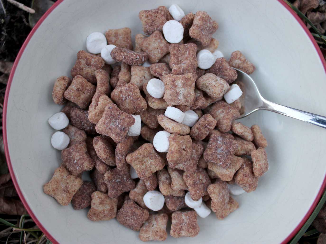 Kellogg’s Smorz Cereal [Review] | S’more Scout